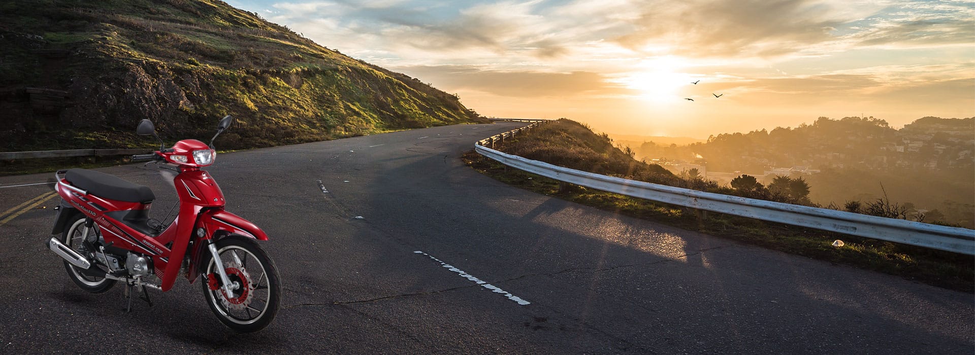 Evolution 110 - Nipponia-Republica Dominicana