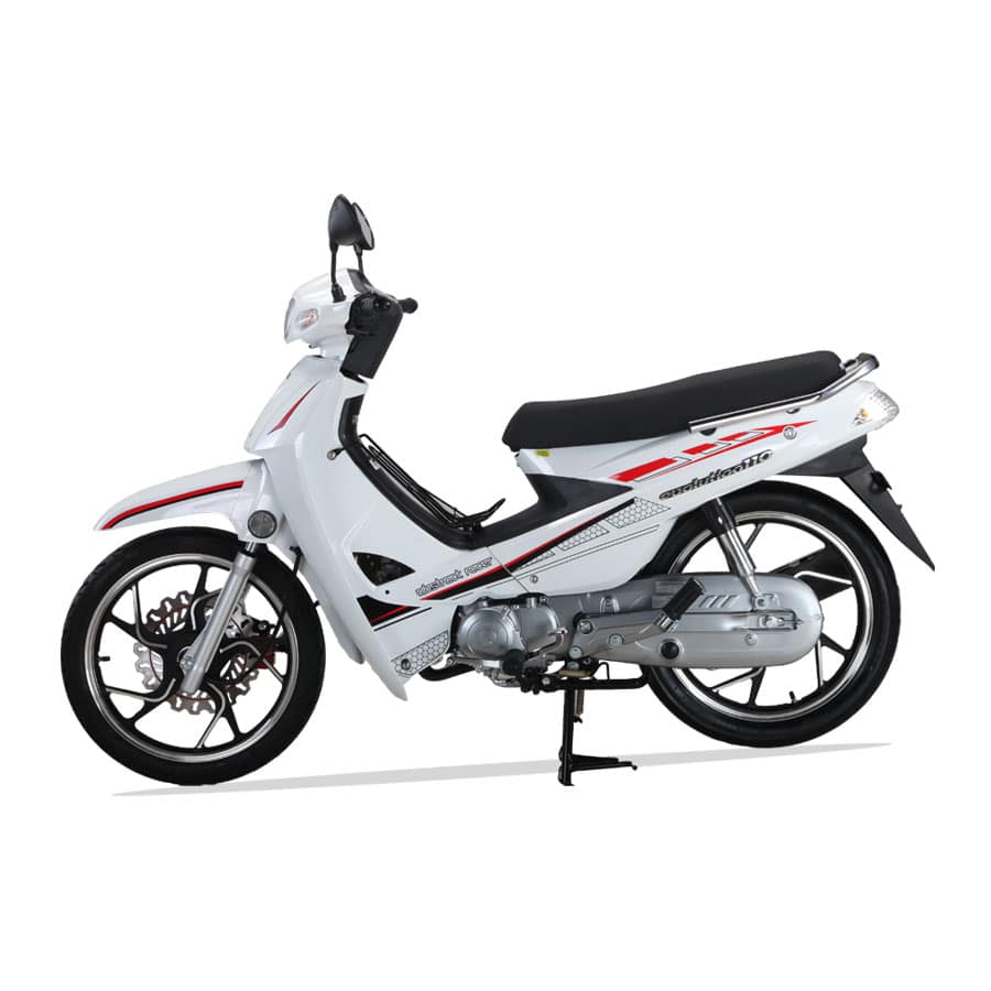 Evolution 110 - Nipponia-Republica Dominicana